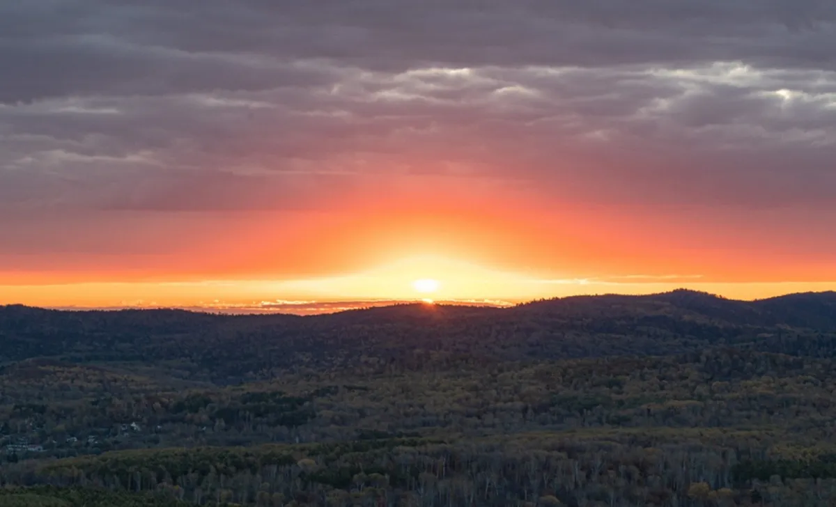 Хабаровчан в выходные зовут отведать средиземноморского моллюска Muller ...